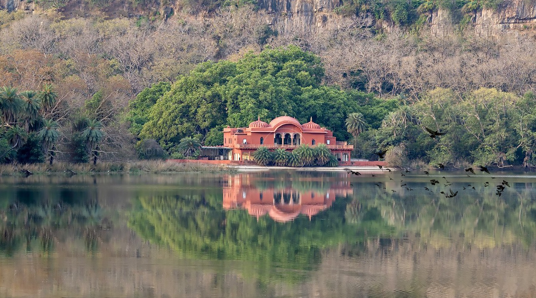 Home – ranthamboretigersreserve.com