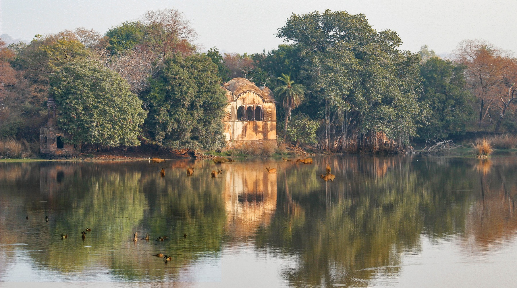 Home – ranthamboretigersreserve.com